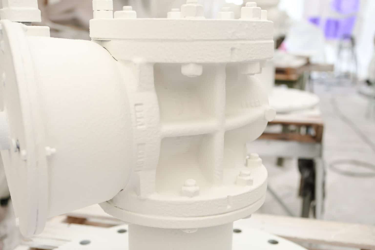 EonCoat In-House Application Services